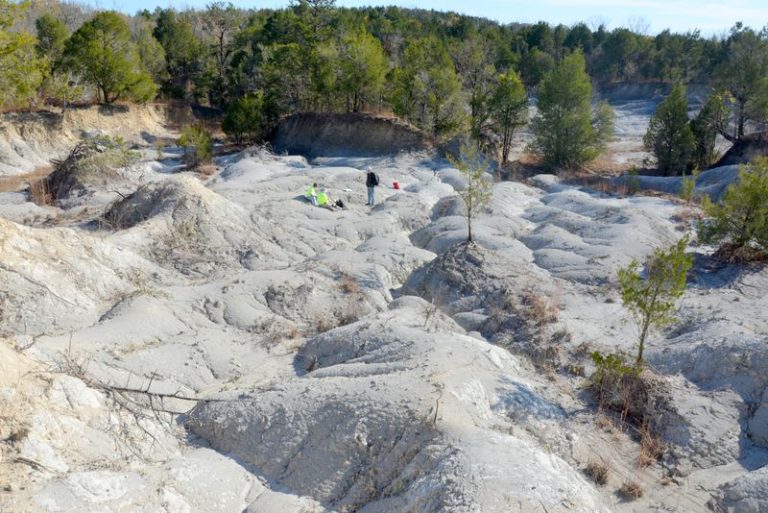 Alabama Black Belt among world’s top sites to find ancient sea monsters ...