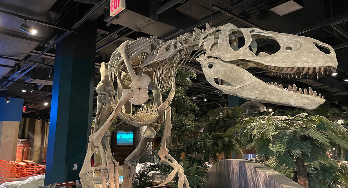 Paleontology | Birmingham, AL | McWane Science Center