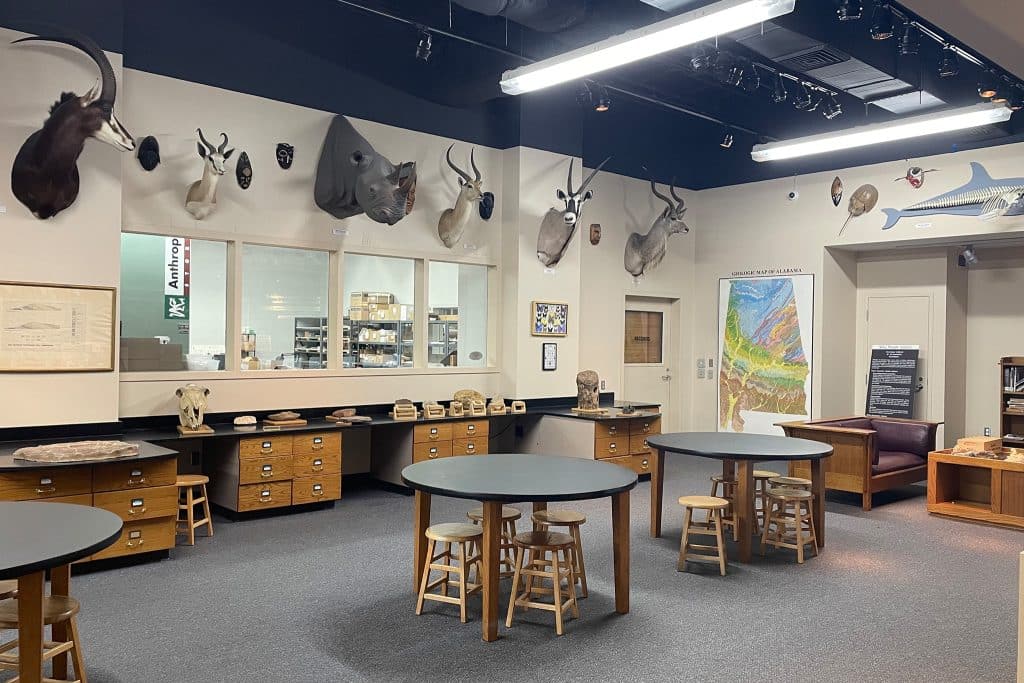 Learning at McWane Science Center | Birmingham, AL