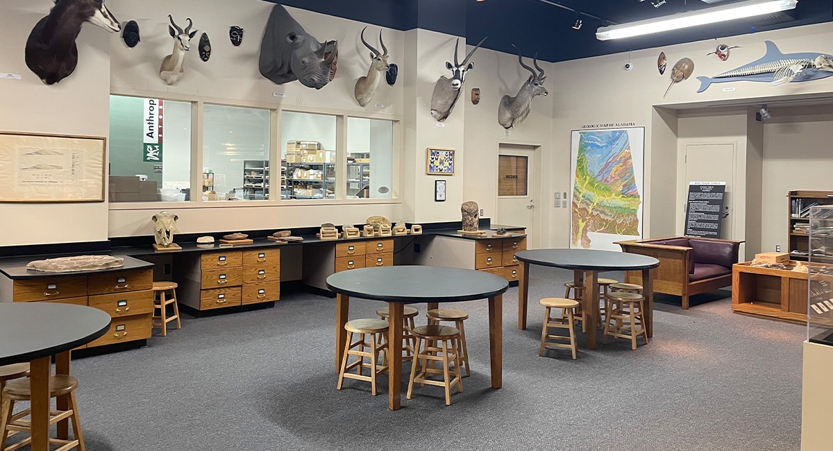 Collections and Research | Birmingham, AL | McWane Science Center