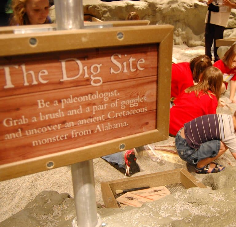 Alabama Dinosaurs | Birmingham, AL | McWane Science Center