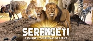 IMAX® Dome Theater | Birmingham, AL | McWane Science Center