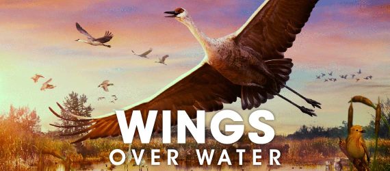 IMAX® Dome Theater | Birmingham, AL | McWane Science Center